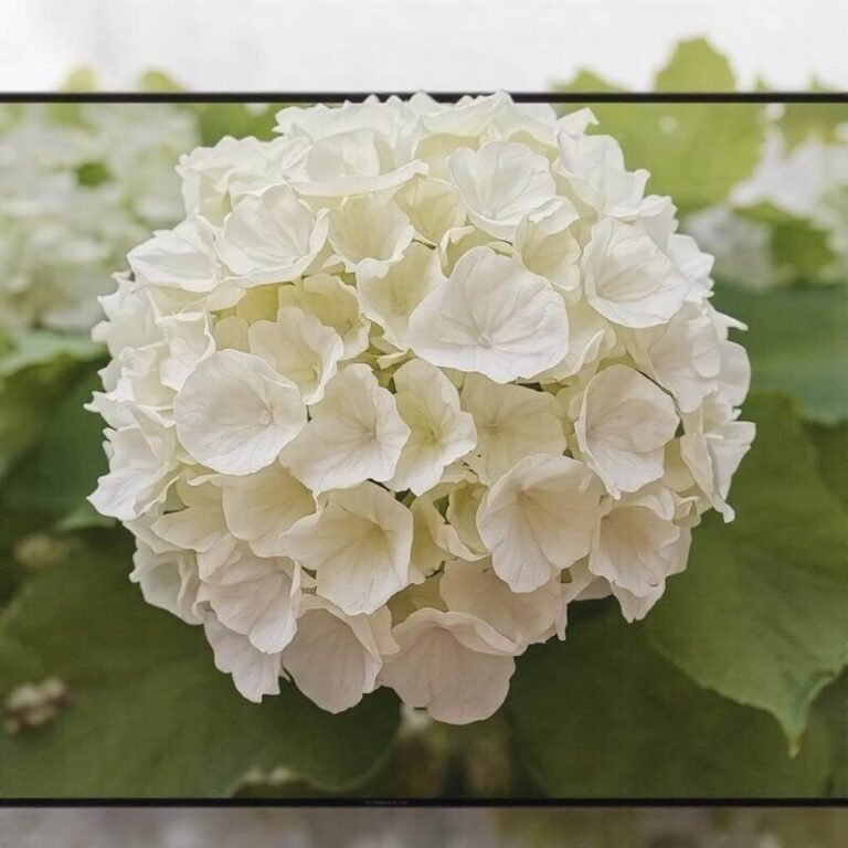 Strzelanie palcami – skutki, które warto poznać - Planeta Biznes